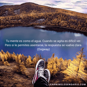 Las mejores frases celebres sobre aprendizaje para inspirarte ...